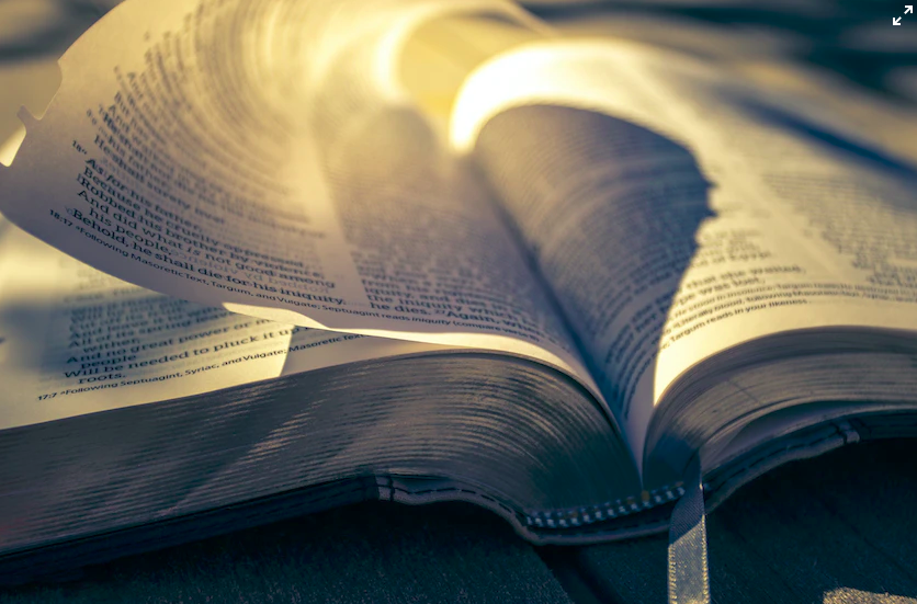 August Reflection: Pursuing Truth in an Evolving Universe | Center for ...